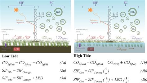 Figure 1 From Understanding Photosynthesis In A Salt Marsh Using Observations Of Solar Induced