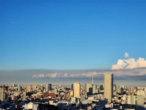 우리는 여전히 일본을 30년 후행중인가 송종식의 It와 가치투자 이야기