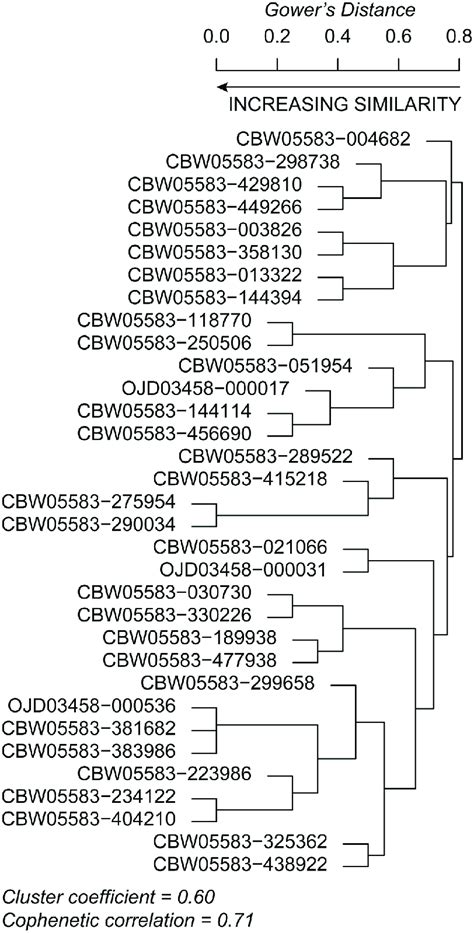 Dendrogram Of Clustered Reaches Based On Their Classification Outputs