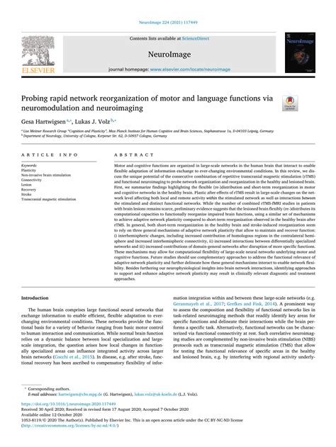 Pdf Probing Rapid Network Reorganization Of Motor And Language Functions Via Neuromodulation