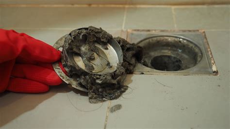 청소를 배수합니다 막히고 더러운 하수도 파이프 바닥 배수구 머리카락과 축적 된 막힌 기름으로 가득합니다 욕실에서 바닥 배수 하수 시스템을 유지 보수 깨끗한 세척을 고정하고