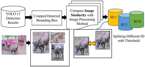 Comparing State Of The Art Deep Learning Algorithms For The Automated Detection And Tracking Of