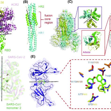 Different Strategies For Designing Ppi Modulators Modulation Of Ppis Download Scientific