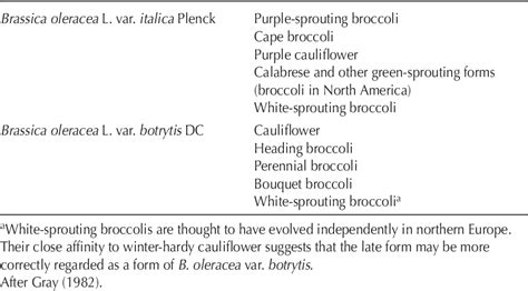 Table 15 From Origins And Diversity Of Brassica And Its Relatives Semantic Scholar