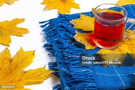 담요와 흰색 배경에 잎 차 한잔 텍스트에 대 한 장소입니다 가 편안 함 3위에 대한 스톡 사진 및 기타 이미지 3위 가을 개념 Istock
