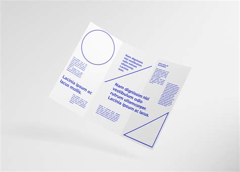 Tri Fold Brochure 11x85 8 Paper 1 Coated • Ceacle Mockup