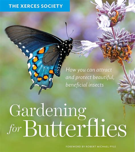 Gardening For Butterflies How You Can Attract And Protect Beautiful