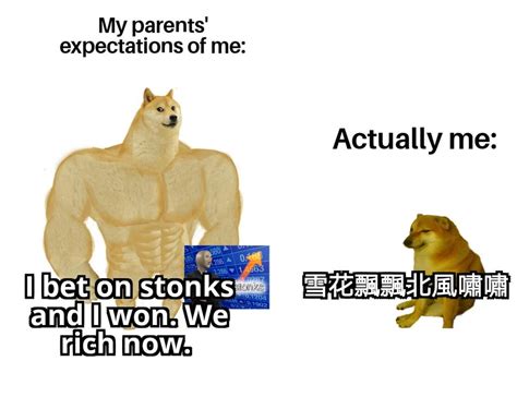 Xue Hua Piao Piao Bei Feng Xiao Xiao Memes