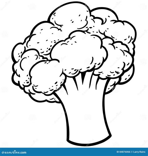 Cauliflower Illustration Stock Vector Illustration Of Stem 84876066