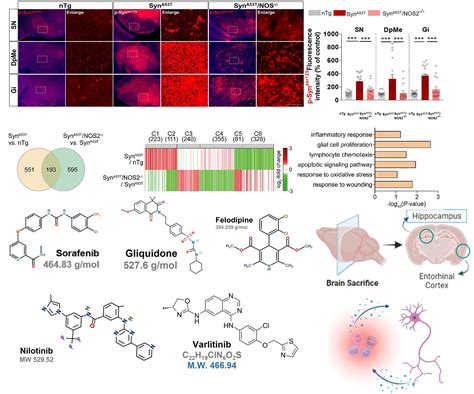 뇌신경과학실험실 생명건강공학과