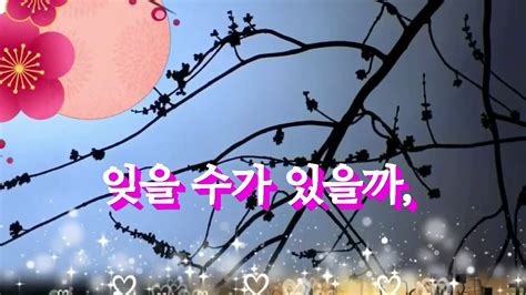 잊을 수가 있을가삶의 길 Youtube