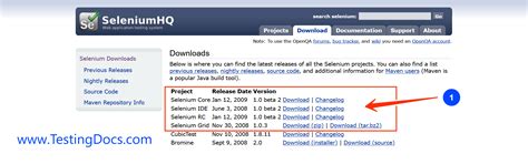 What Is Selenium 1 0 Testingdocs