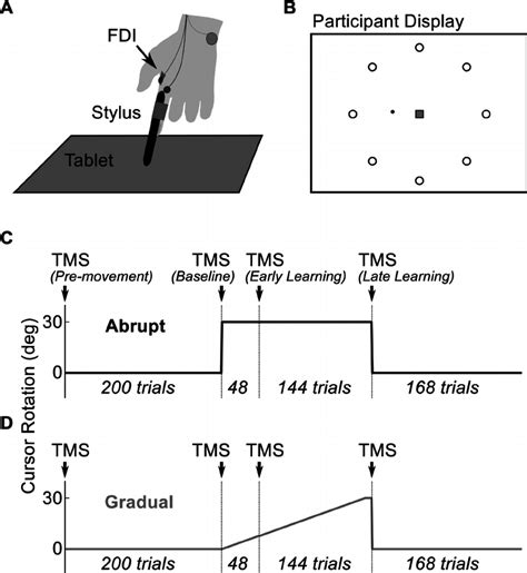 design of behavioral task download scientific diagram