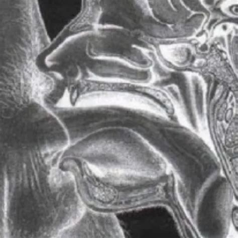 Futai La Munte Romanian Blonde Blonde Porn Xhamster