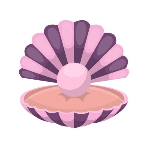 Open Clam Shell Illustrations Royalty Free Vector Graphics And Clip Art
