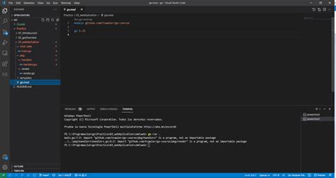 Is A Program Not An Importable Package · Issue 47313 · Golanggo · Github