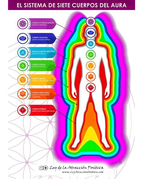 C Mo Proteger Tu Aura De Energ As Negativas Ley De Atracci N Positiva