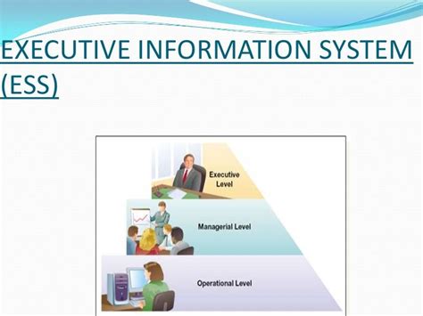 Executive Information System Ess System Execution Supportive