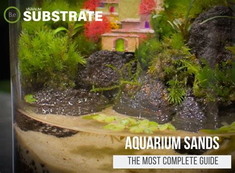 Aquarium Substrate Soil At Katie Butters Blog