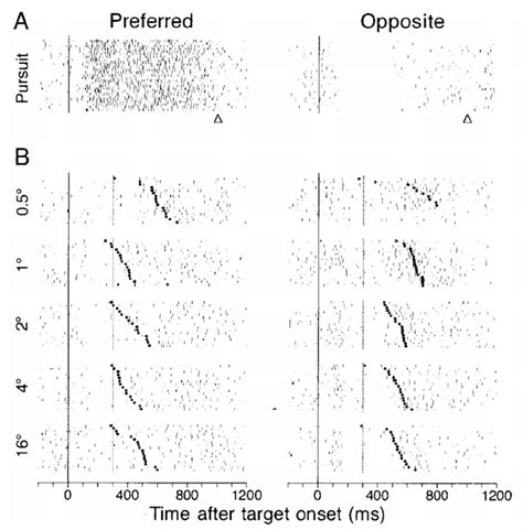 Responses To Steps Of Target Position And Saccades In A Representative