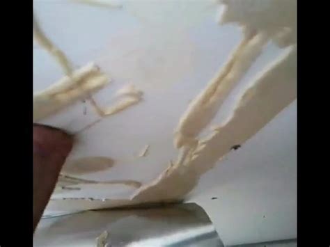 Sex Auf Dem Klo Xhamster