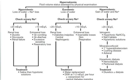 Lec 2 Part 2 Hypernatremia Flashcards Quizlet