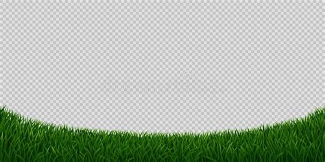 Realistic Green Grass Field Or Meadow Background Stock Vector