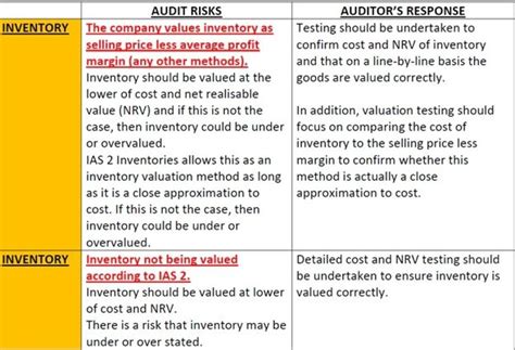 Audit Risks Eloquens
