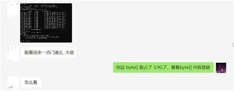 A Memory Leak Analysis Of A Net Risk Control Management System
