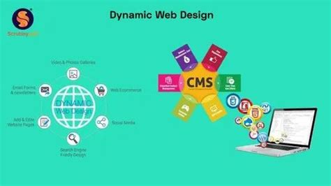Dynamic Web Designing Service At ₹ 15000service In Bengaluru