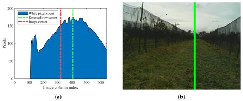 autonomous navigation and crop row detection in vineyards using machine vision with 2d camera