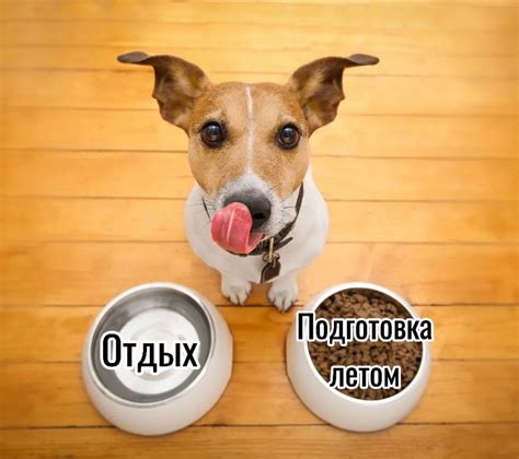 СДАМ ЕГЭ/ОГЭ |ИСТОРИЯ|ОБЩЕСТВОЗНАНИЕ| | СДАМ ЕГЭ/ОГЭ- это сообщество по ...