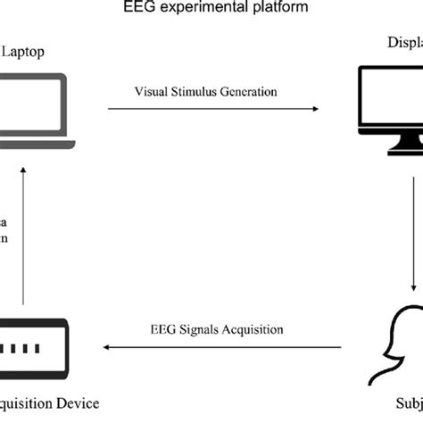 Eeg Experimental Platform Download High Resolution Scientific Diagram