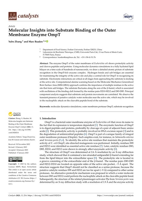 Pdf Molecular Insights Into Substrate Binding Of The Outer Membrane Enzyme Ompt