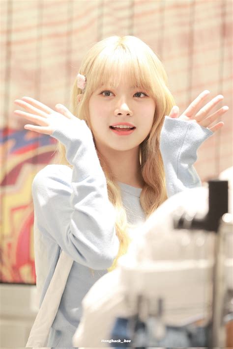 ㅎㅎ 연예인잡담 에펨코리아