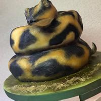Python Decorated Cake By Andrea Cakesdecor