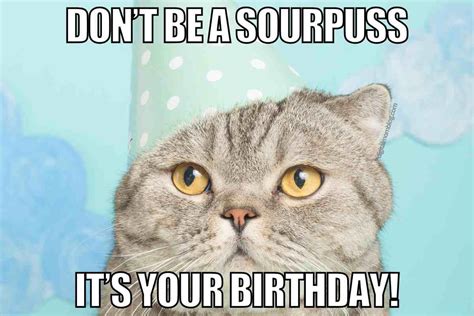 Cat Birthday Memes Sad Birthday Cat Meme Art Board Print