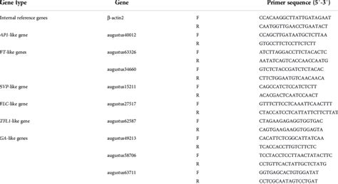 Real Time Fluorescence Quantitative Pcr Primer Information For