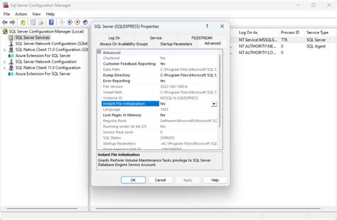 Instant File Initialization In Sql Server Boost Your Database Performance