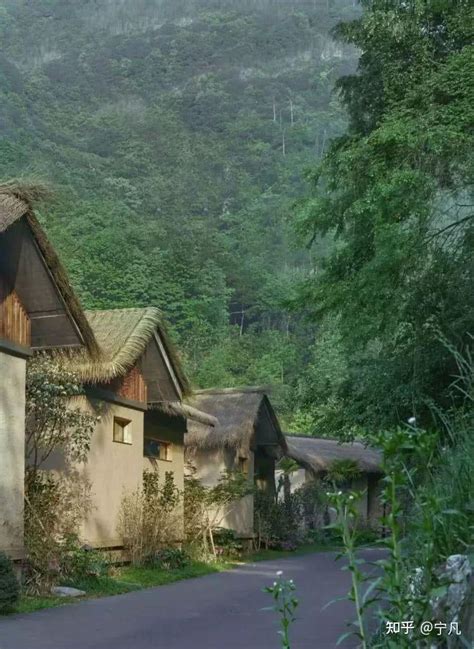 杭州酒店推荐 住进小三峡杭州富春芳草地度假酒店隐匿世外桃源 知乎