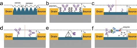 schematic representation of interface engineering strategies in