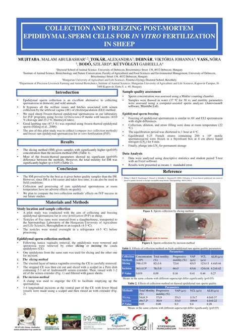 Pdf Collection And Freezing Post Mortem Epididymal Sperm Cells For In