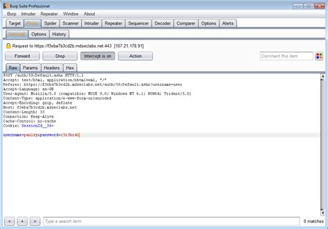 Burp Gets A Makeover Blog PortSwigger