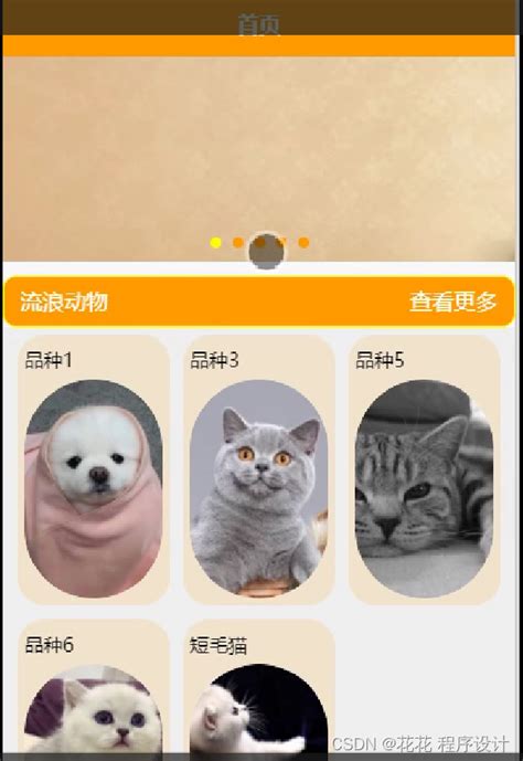 Ssmphpnodepython流浪猫救助系统 Csdn博客