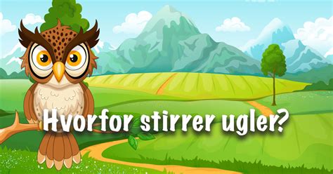 Historie Hvorfor Stirrer Ugler