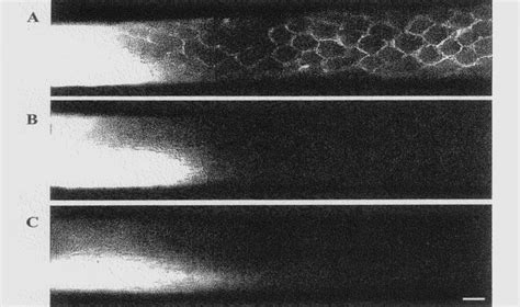 Structurally Embedded Intelligent Power Unit Pioneering Minds