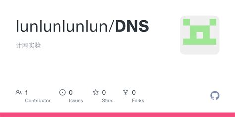 GitHub lunlunlunlun DNS 计网实验