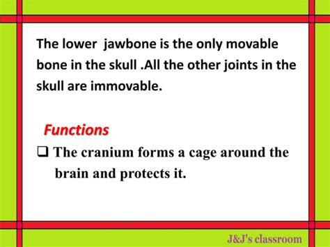 Parts Of Human Skeleton And It S Functions PPT