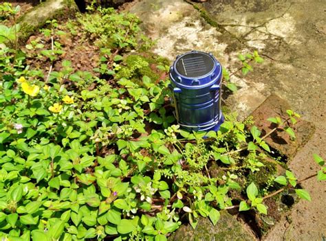 The Mysterious Laser Receiver Sensor Module Codrey Electronics