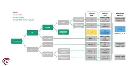 Medical Device Regulation MDR Role Local EC Timelines EC Barec